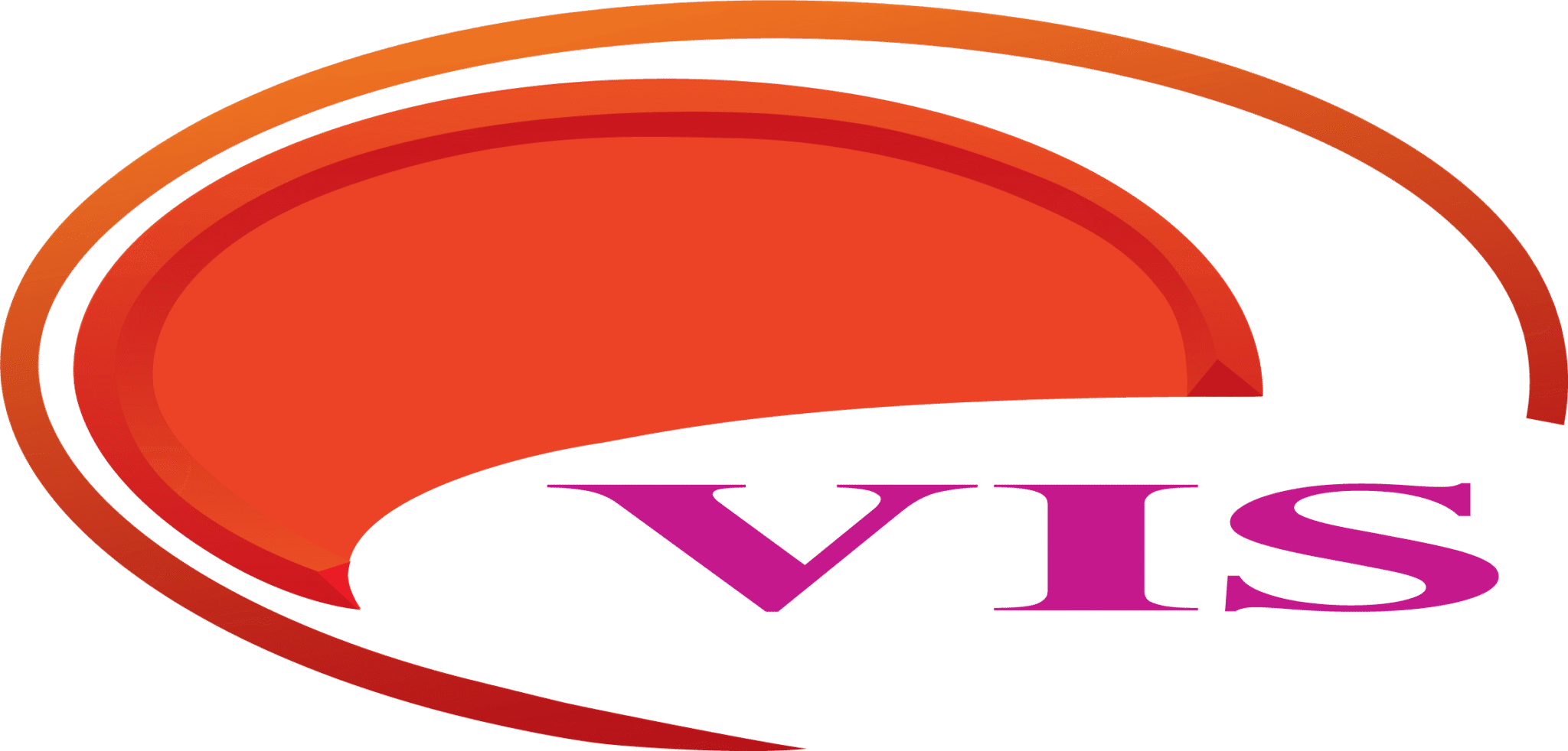 VIS GLOBAL INC – Services Unlimited